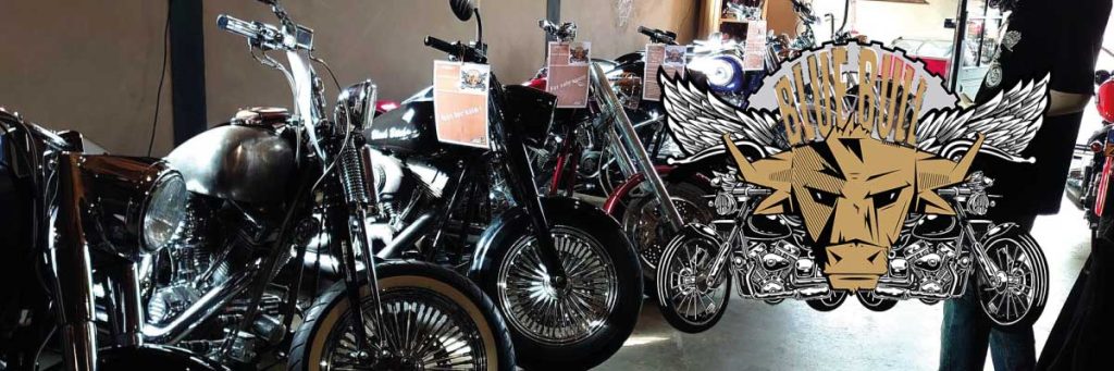 Blue Bull viert Vakmanschap op RIDERS Festival 2025